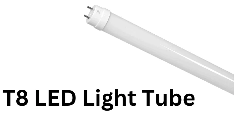 T5 Vs T8 : Which Is Best For Your Business?