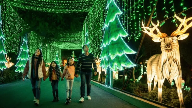 What Is Color Tuning? The Definitive Guide - Risun