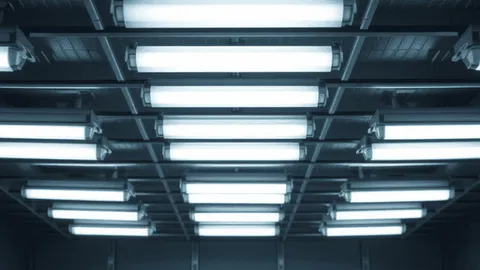 Fluorescent Light Bulbs: How They Work & Where To Use Them