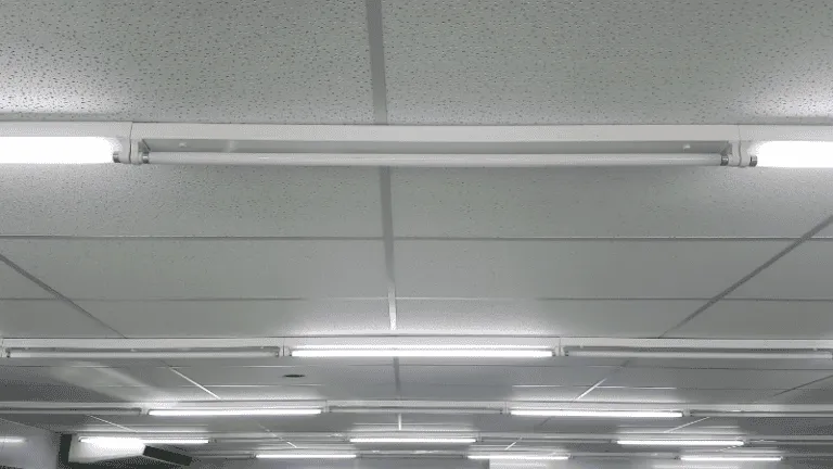 Fluorescent Light Bulbs: How They Work & Where To Use Them