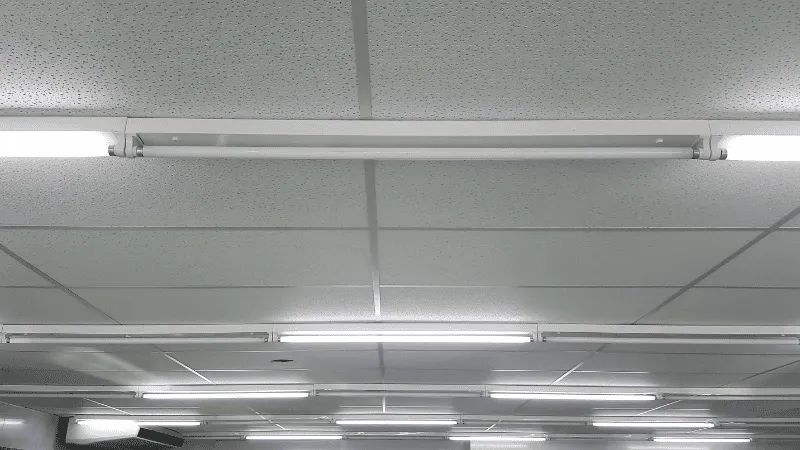 Fluorescent Light Bulbs: How They Work & Where To Use Them