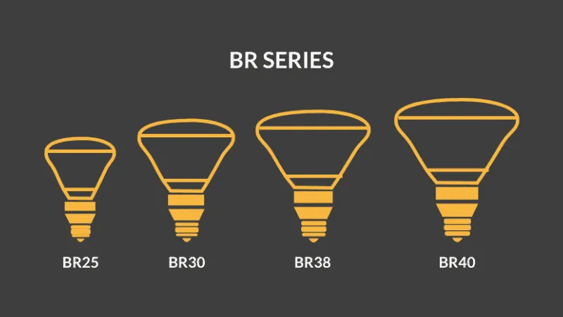 Complete Guide To Light Bulb Sizes, Types, Shapes & Codes